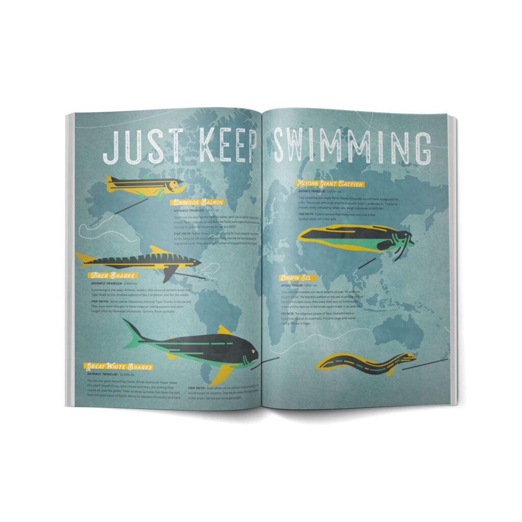 The Water Issue: Volume 4 – Issue 4 - Whalebone