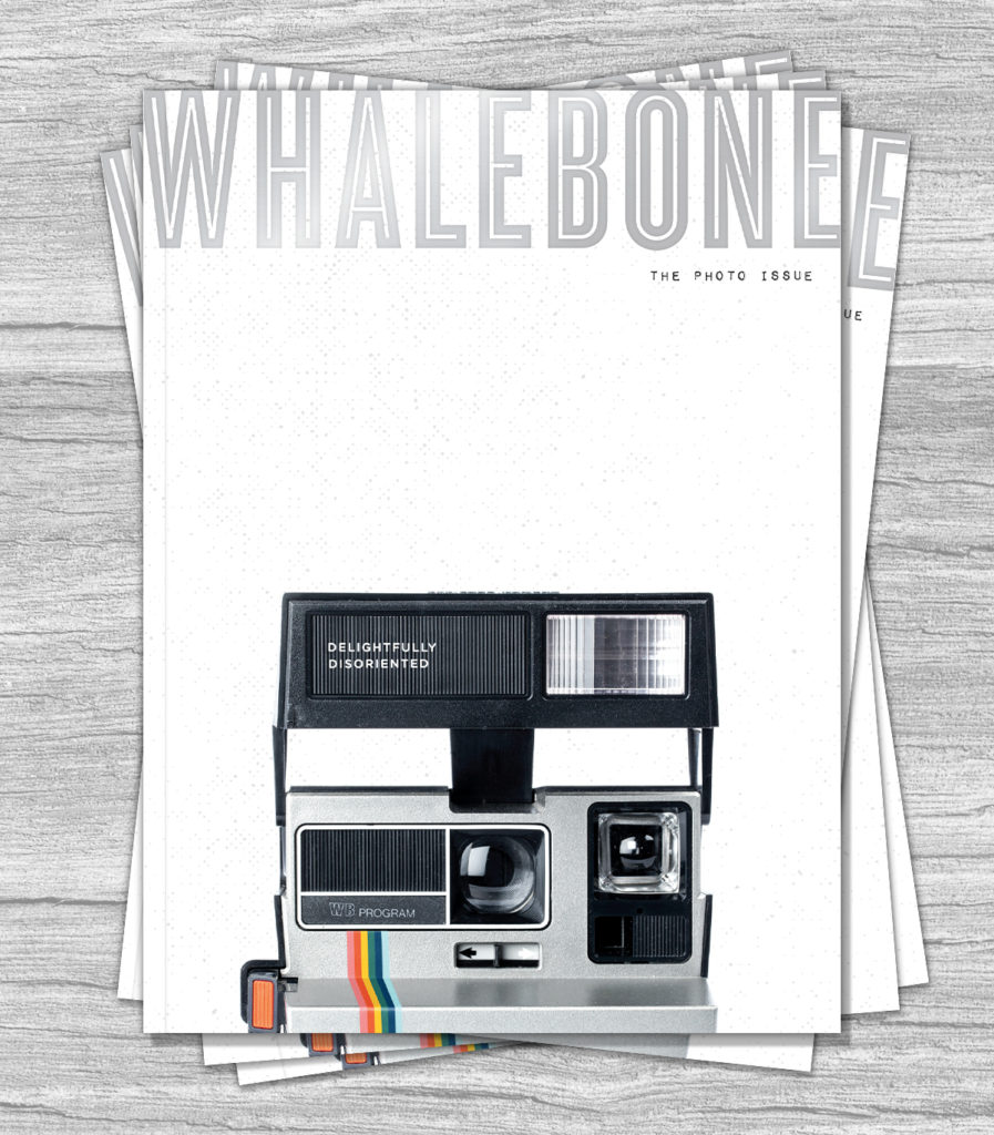 Whalebone