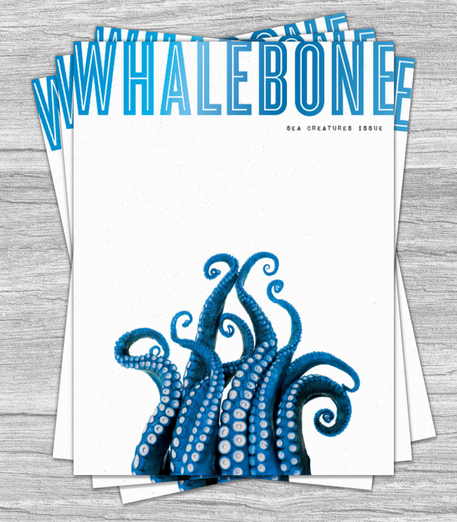 Whalebone