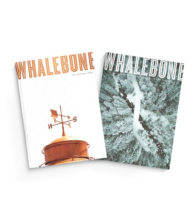 The Whalebone Shop