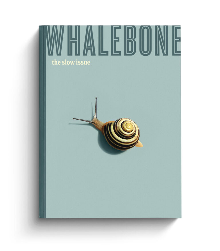 The Whalebone Shop